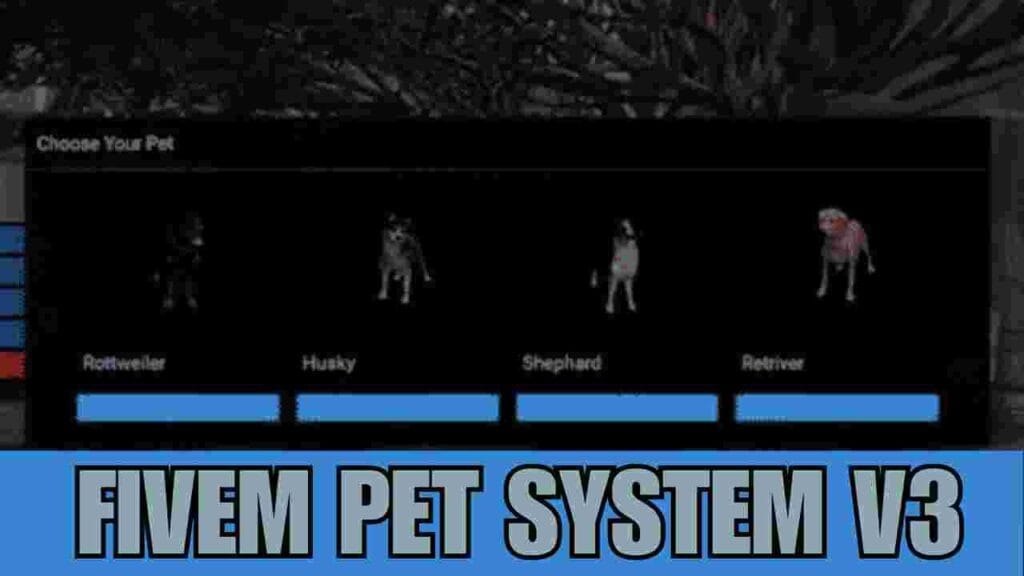 Fivem Pet System V3 - FiveM Store