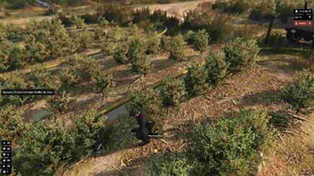 ESX Scripts : Free & Paid Choices for Your FiveM Server - FiveM Store