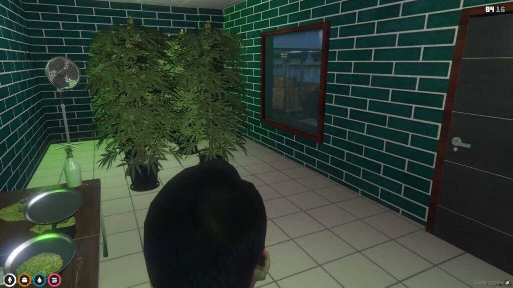 Fivem weed shop - FiveM Store