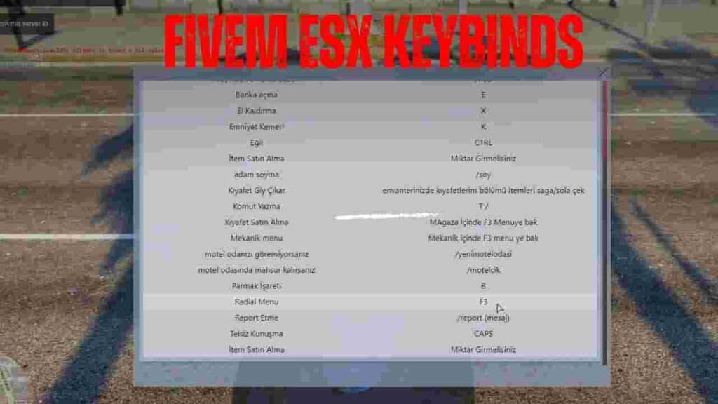 ESX Scripts : Free & Paid Choices for Your FiveM Server - FiveM Store