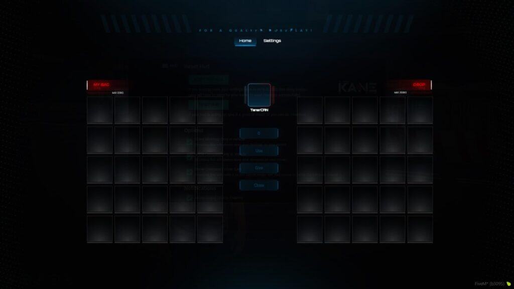 Fivem Inventory Script - FiveM Store