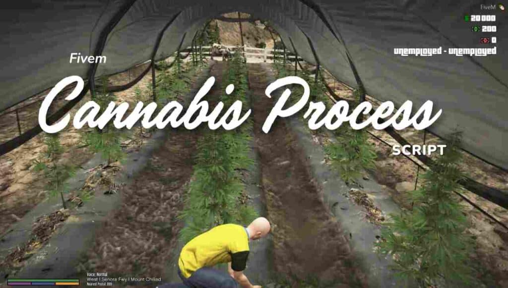 Ultimate Fivem Scripts with Qbcore Script and ESX Scripting - FiveM Store