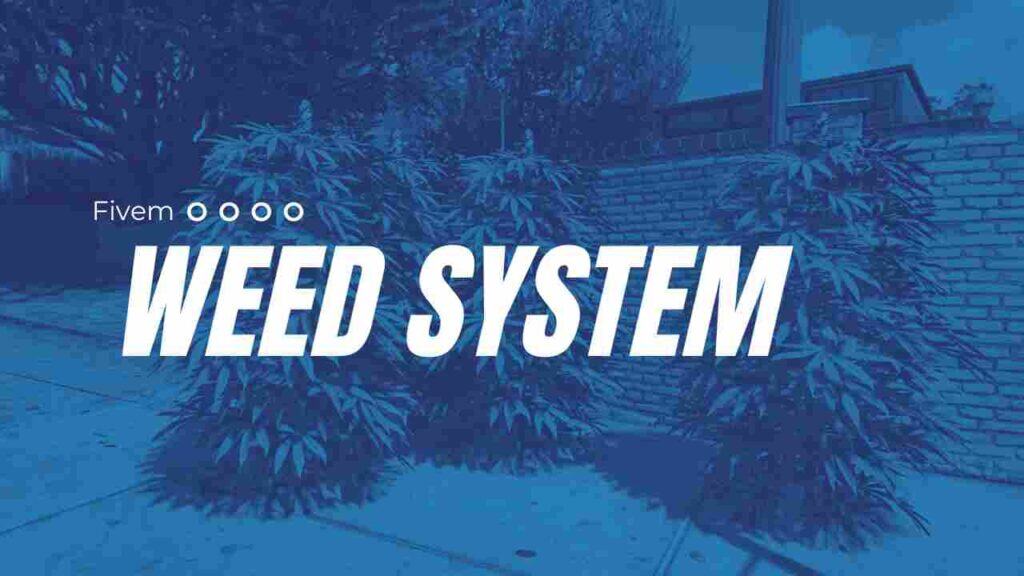 ESX Scripts : Free & Paid Choices for Your FiveM Server - FiveM Store