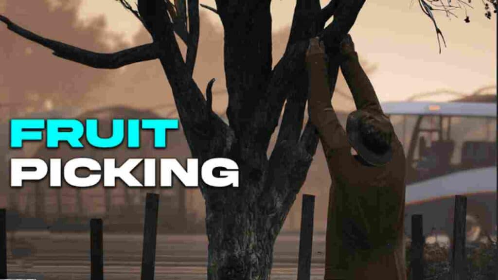 Ultimate Fivem Scripts with Qbcore Script and ESX Scripting - FiveM Store